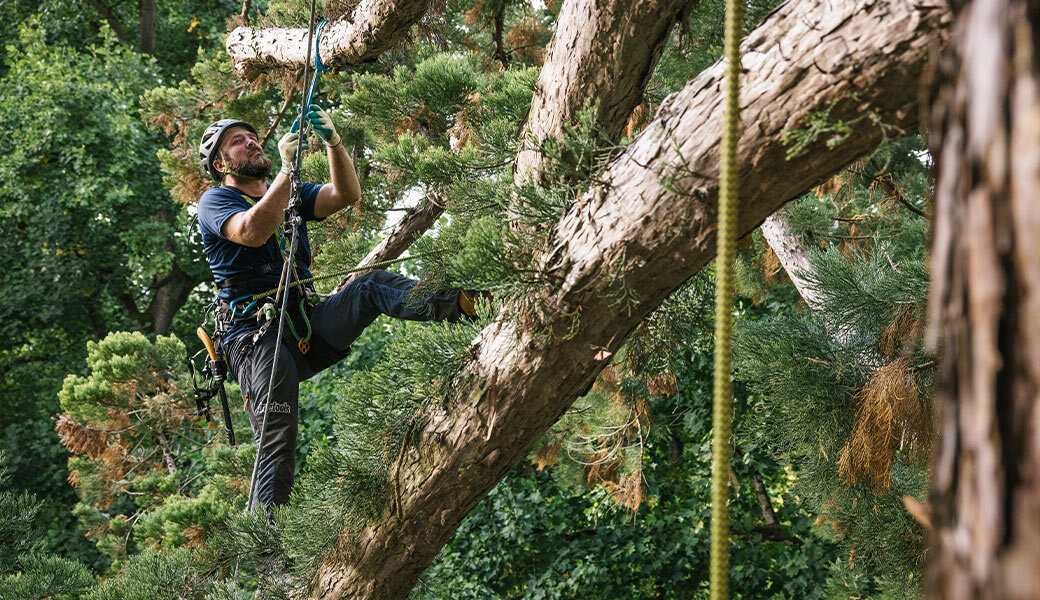 Tree Care | EDELRID
