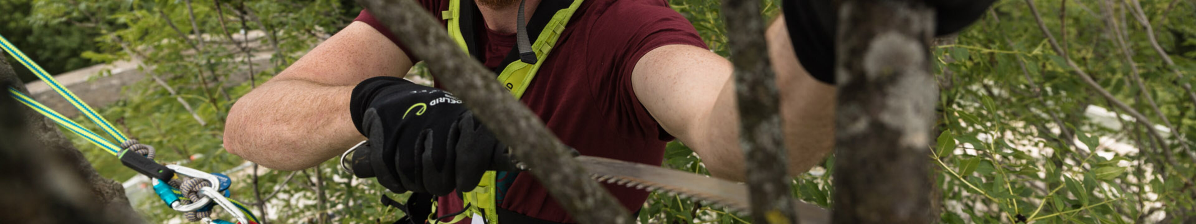 Stylish workwear for tree care | EDELRID