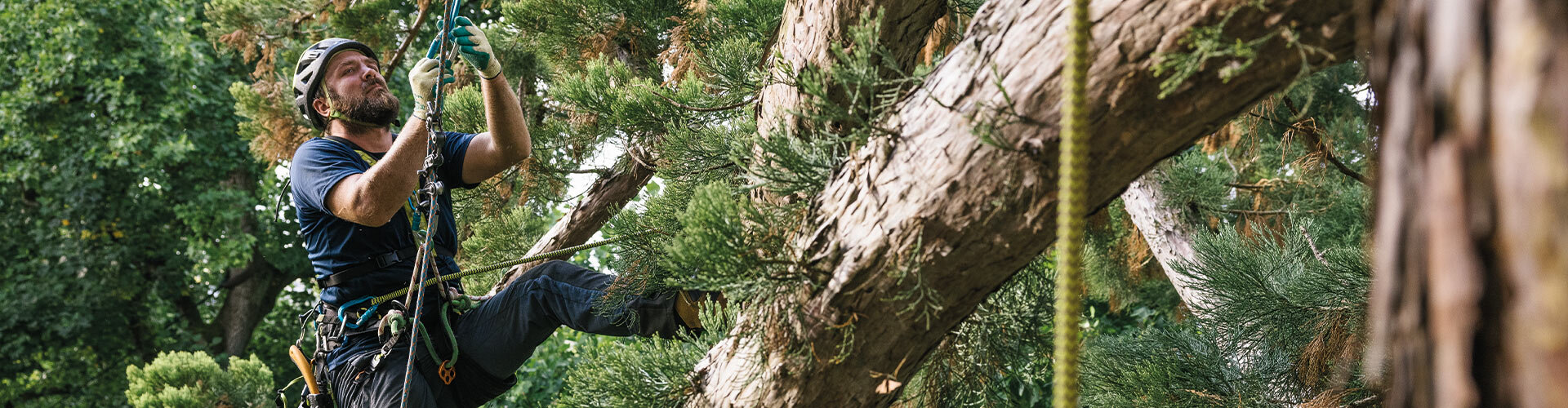 Overview of directional anchors for the SRT and MRT | EDELRID