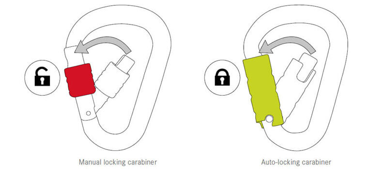 Which types of carabiners are used for climbing? | EDELRID