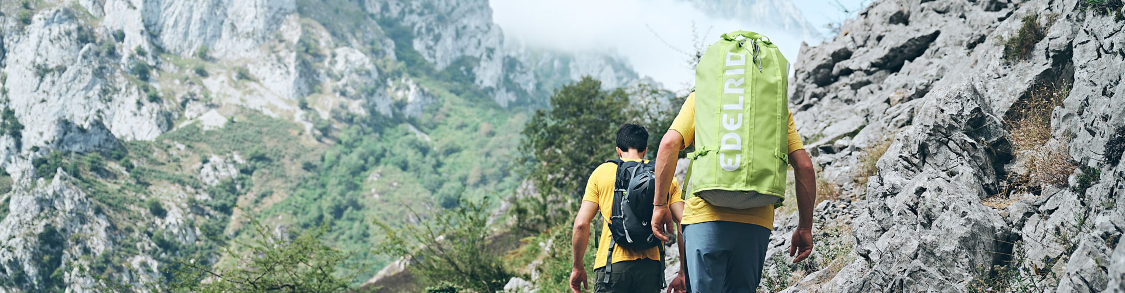 Highlights Climb Green | EDELRID